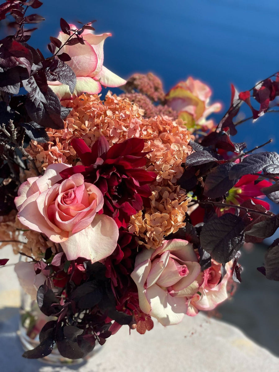 CONGRATULATIONS! – HelloBronte