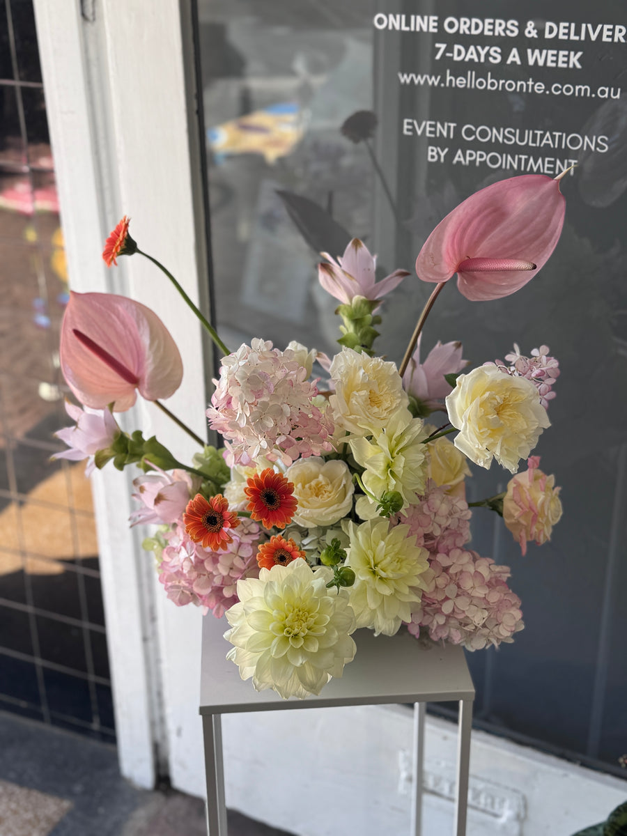 FLORABUNDA – HelloBronte