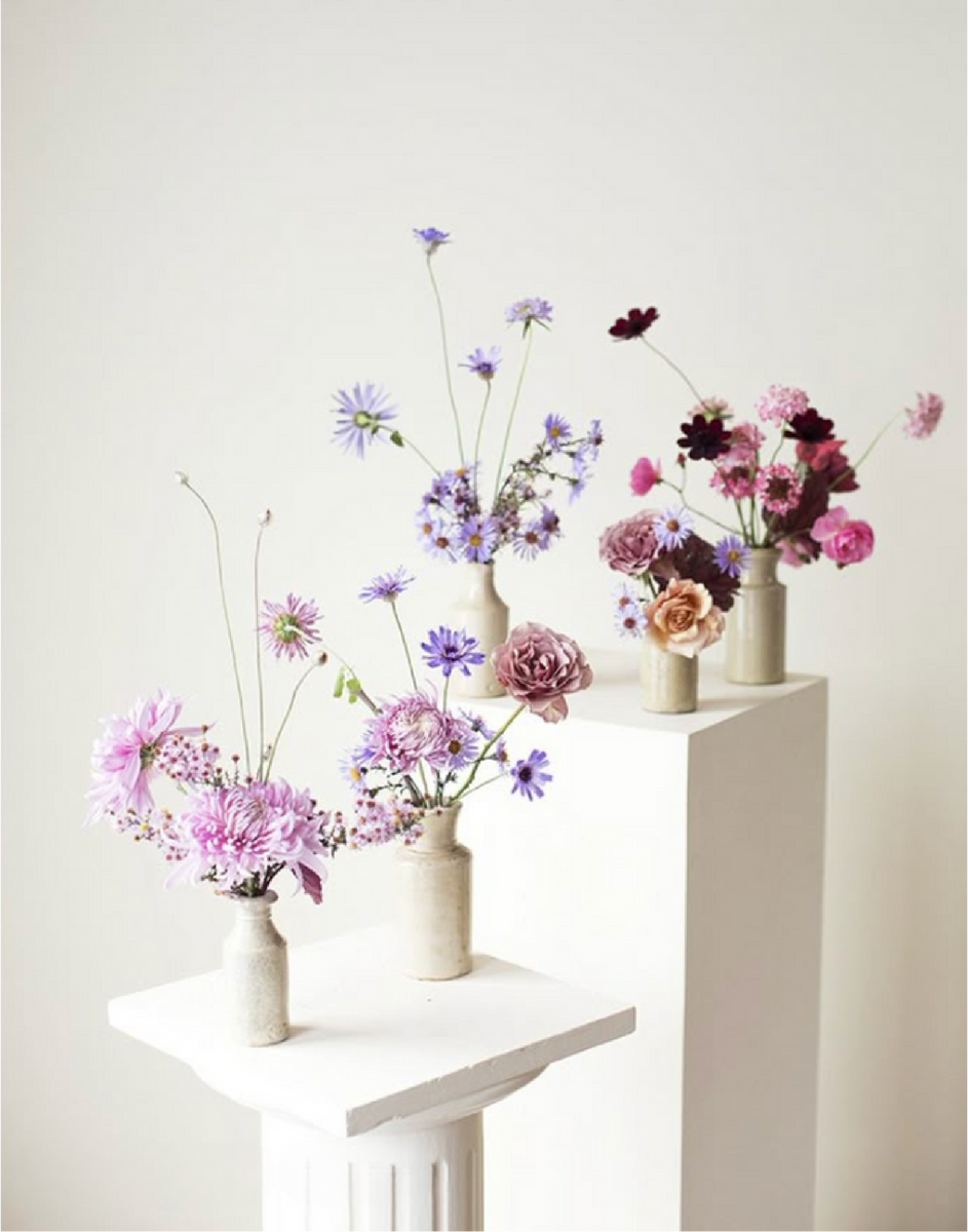 BUDDIES – HelloBronte