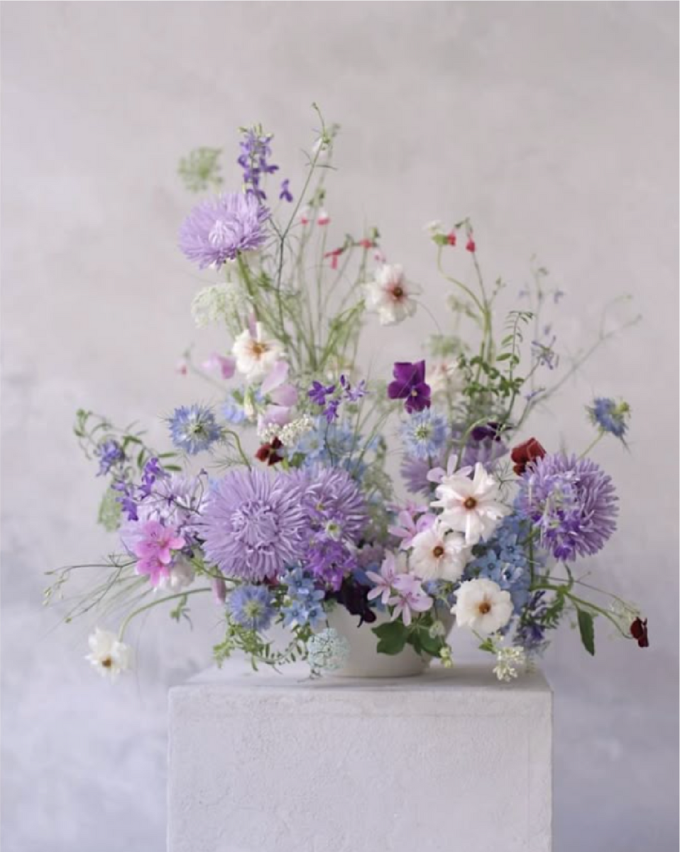 WHIMSICAL – HelloBronte