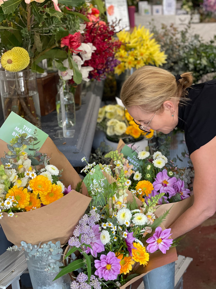 The BUNDLE – HelloBronte