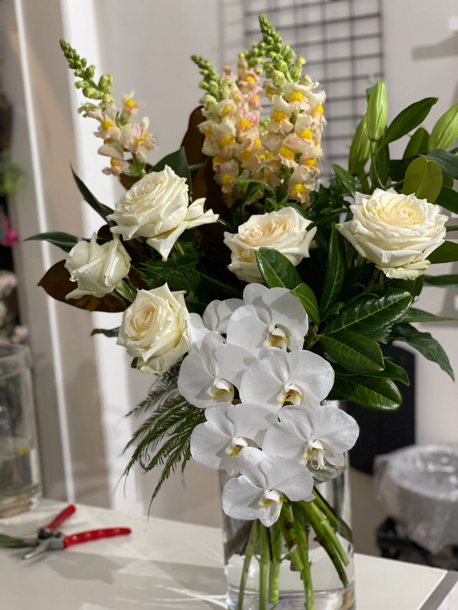 THE BRONTE BOMBSHELL – HelloBronte