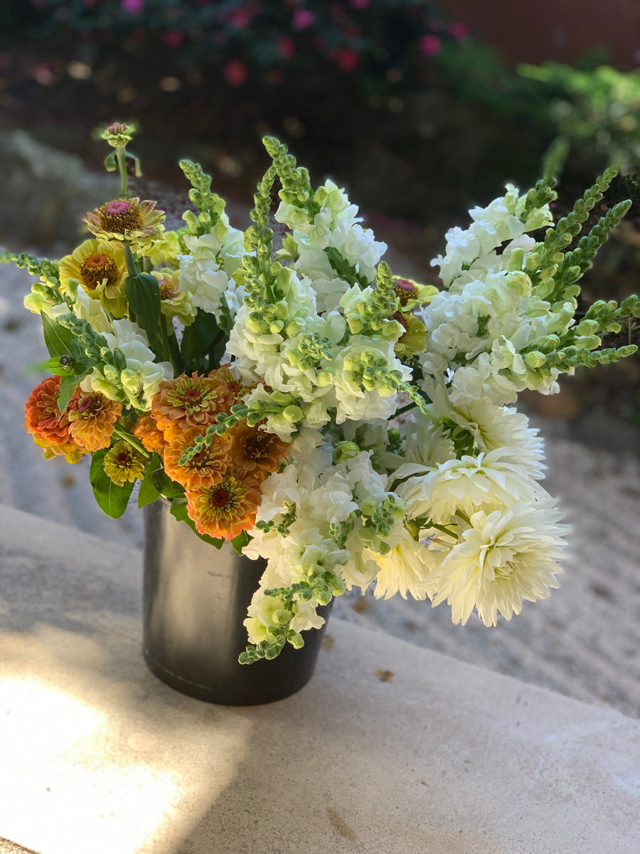 THE BUCKET - COLORFUL MIX – HelloBronte