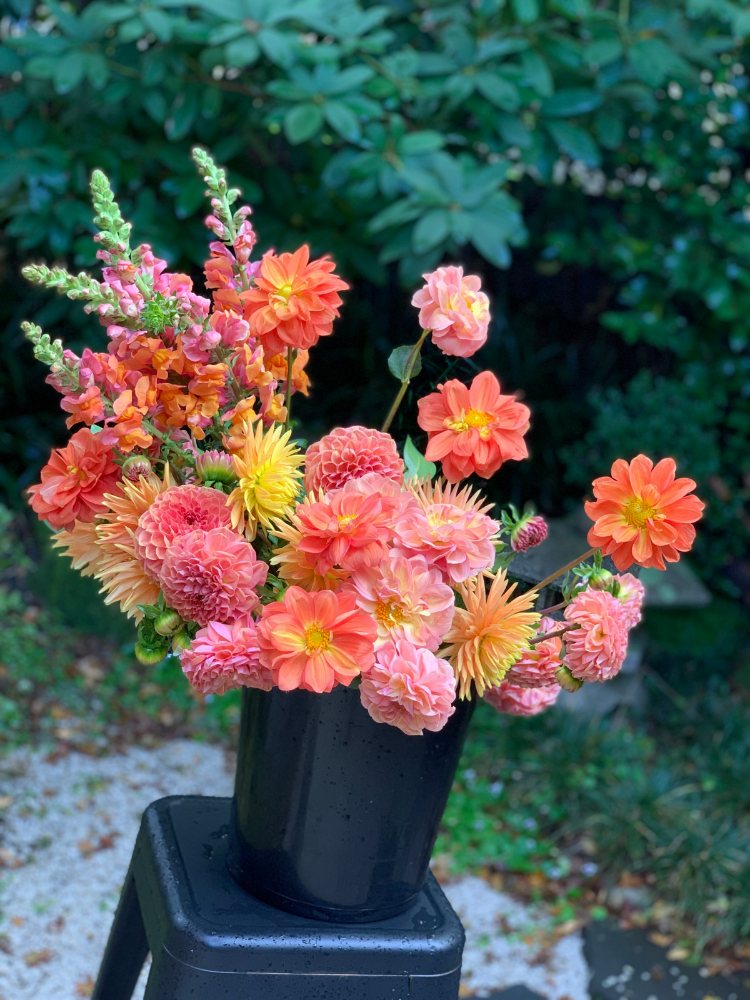 BUCKETLOAD OF LOVE – HelloBronte