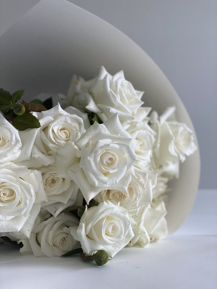 EN MASSE – HelloBronte