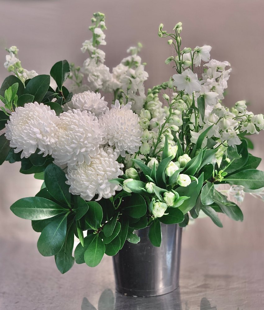 BUCKETLOAD OF LOVE – HelloBronte