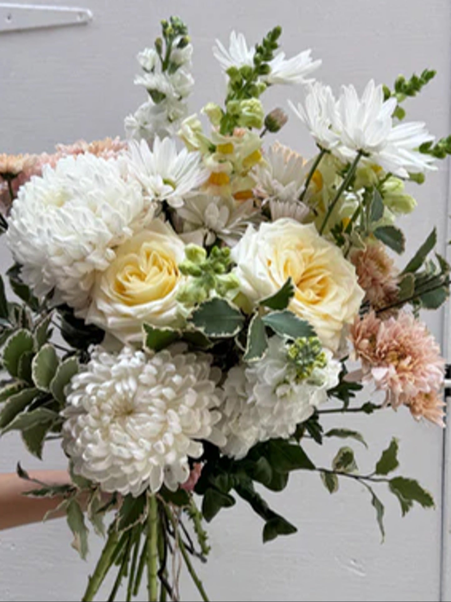 Hello Bronte | Sydney Florist – HelloBronte
