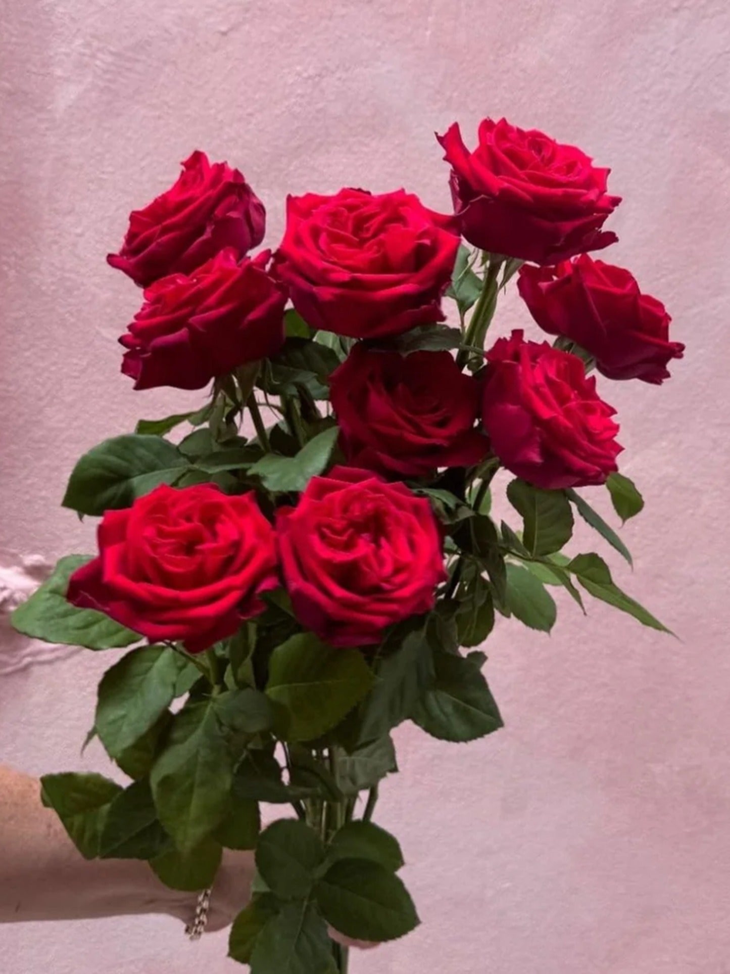 Hello Bronte | Sydney Florist – HelloBronte