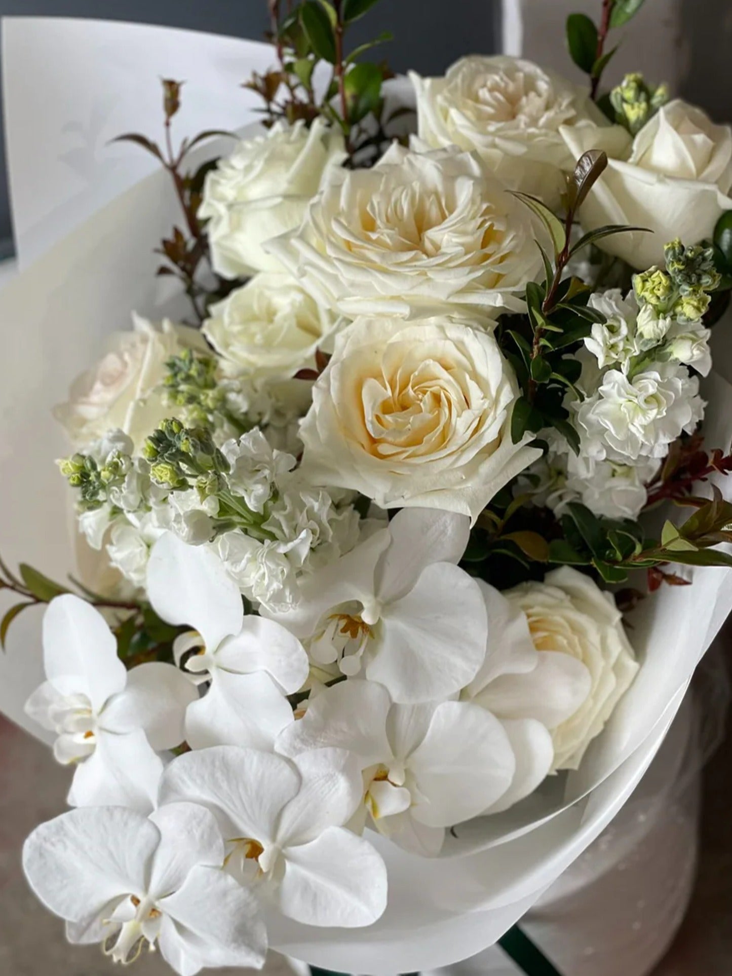 Hello Bronte | Sydney Florist – HelloBronte