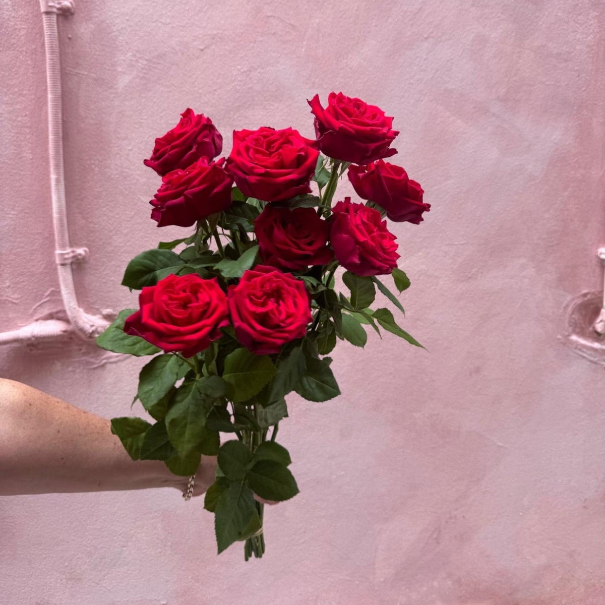 EXTRA ROSE STEMS – HelloBronte