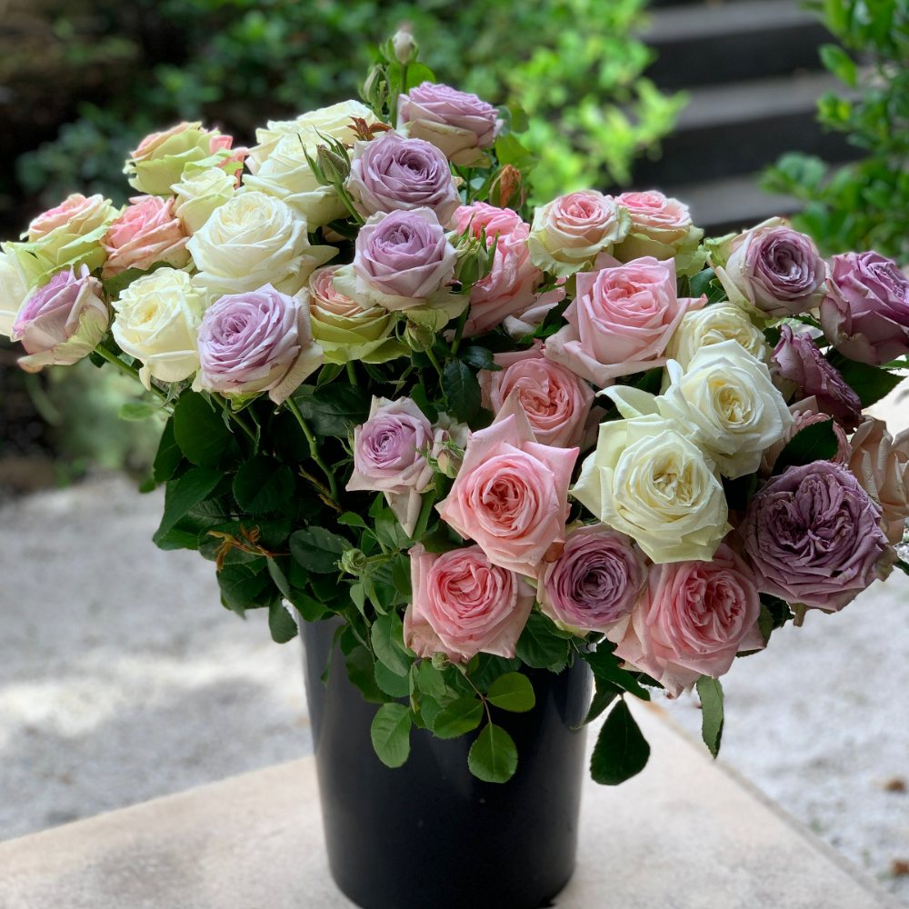 Bucket of roses store